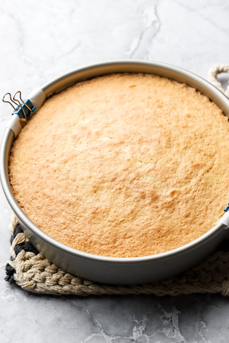 Genoise Sponge Cake - Baran Bakery