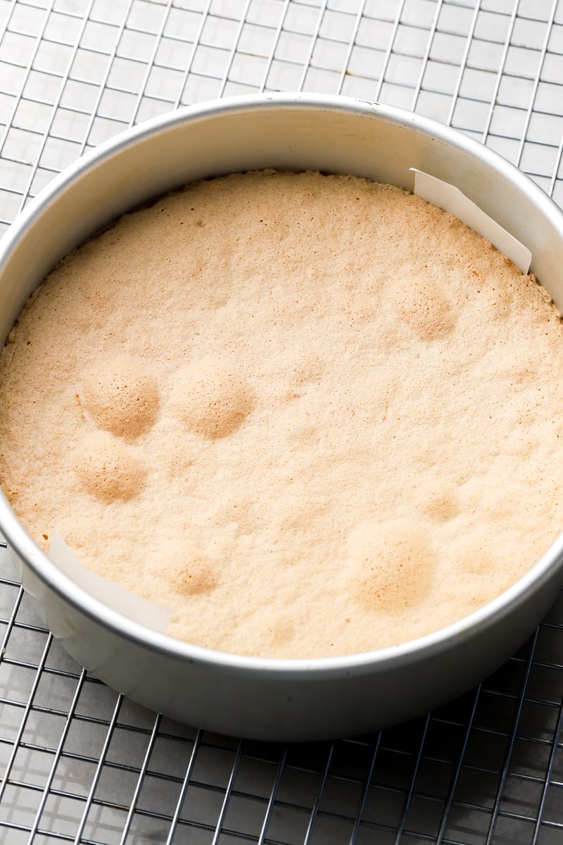 Chantilly Cake - Baran Bakery