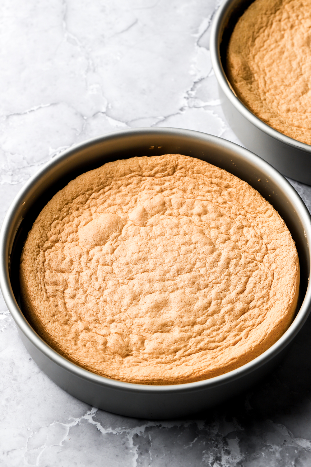 Tiramisu Cake with Italian Sponges - Baran Bakery