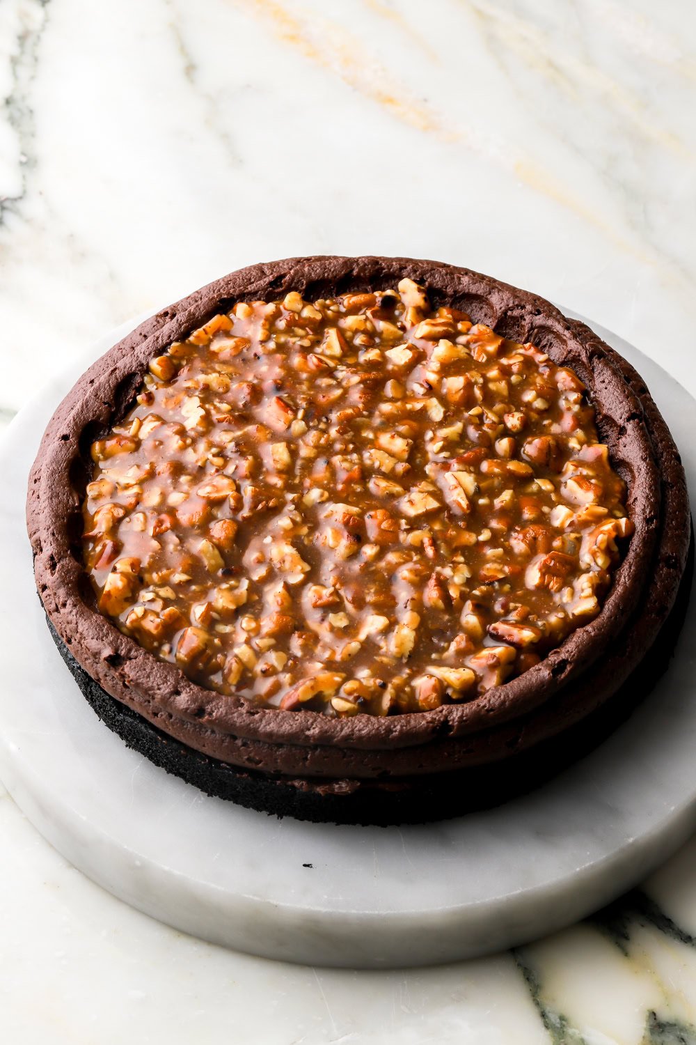 Turtle Cake - Baran Bakery