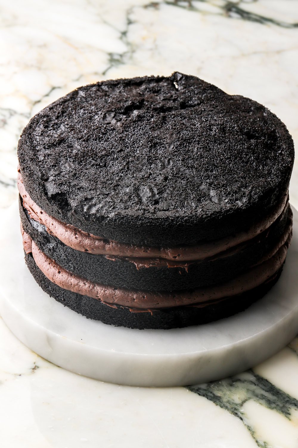 Turtle Cake - Baran Bakery