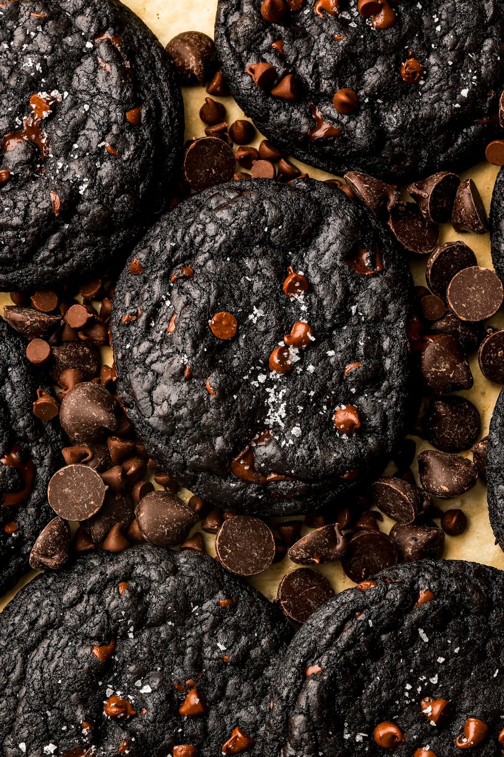 Double Chocolate Chip Black Cocoa Cookies - Baran Bakery